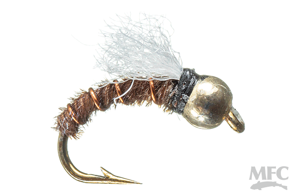 Shop Vac – Davidson River Outfitters